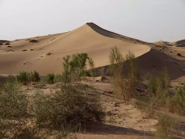 Typer af sandformationer og jordbund i sandet i den nordlige kaspiske region 10337_2