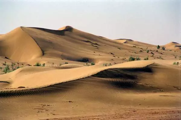 Naryn Sands si charakteriséiert duerch en Iwwerfloss vu Kuelewaasserstoff Grondwaasser 10399_1