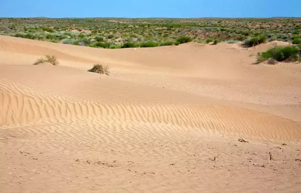 Kilder til saltophobning i det kaspiske lavlands søer 10405_2