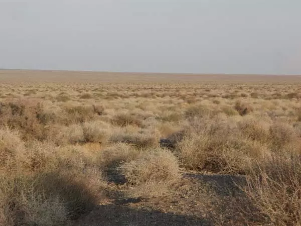 Phenomena mu Kuzungulira kwa Maunyolo a Dune Kumpoto kwa Caspian Region 10406_1