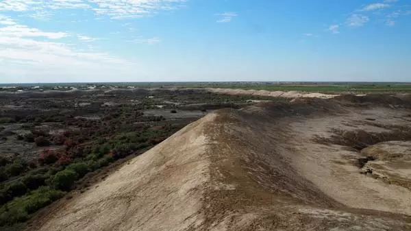 Vegetasjon av solonetz -flekker i den nordlige kaspiske regionen 10424_2