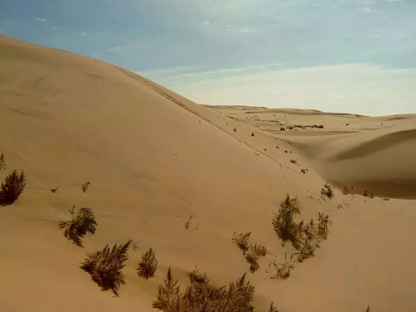 Zonizzazione storico-naturale delle sabbie della regione del Caspio settentrionale 10683_2