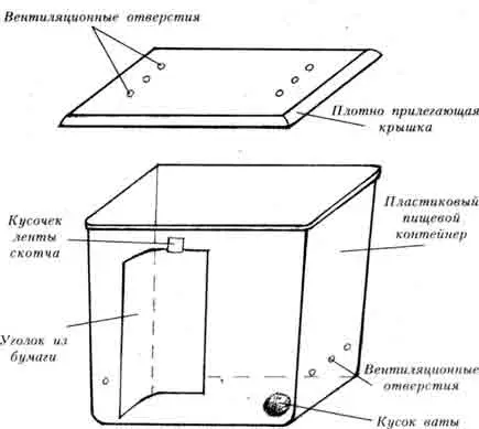 ЗЕРИ АРБОР (ARANEI)