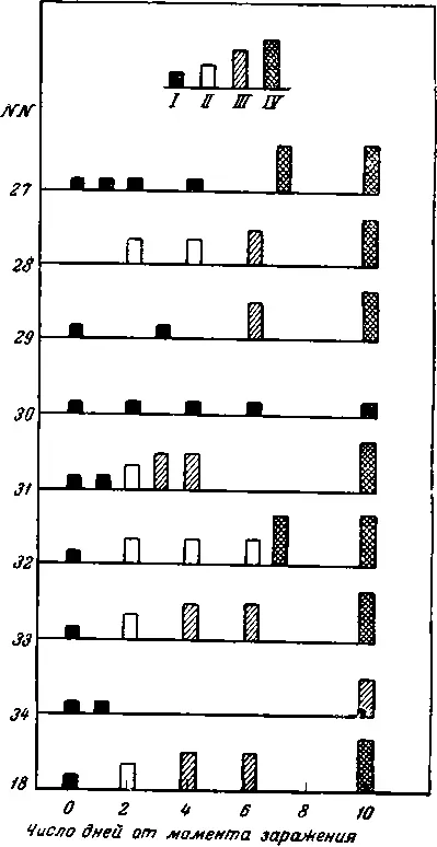 Shistosomatoid dermatit, bir xil turdagi serkariyalar bilan takroriy infektsiya 13626_2