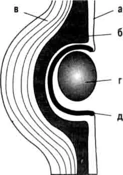 Skema e abscesit të hapur: a - lëkura, b - indet yndyrore nënlëkurore, c - muskujt, d - shkarkimi purulent i trashë (fillimisht i lëngshëm), kapsula e -fibroze që përmban një numër të madh të trupave mikrobikë dhe shkakton një rikthim