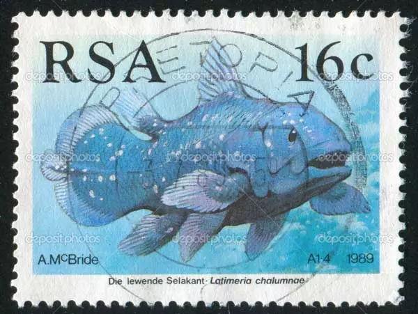 Coelacanth - fisk 