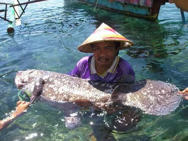 Coelacanth - माछा 