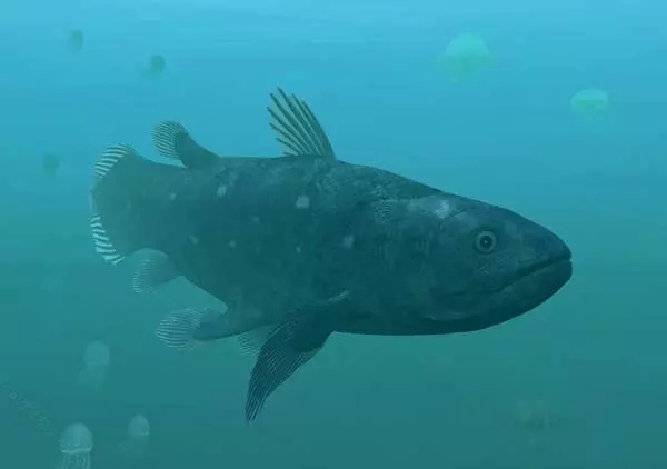 Coelacanth - ماهی 