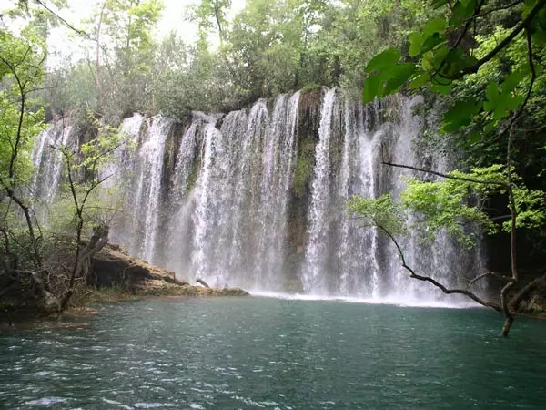 ភូមិសាស្ត្រស្មុគស្មាញសត្វ