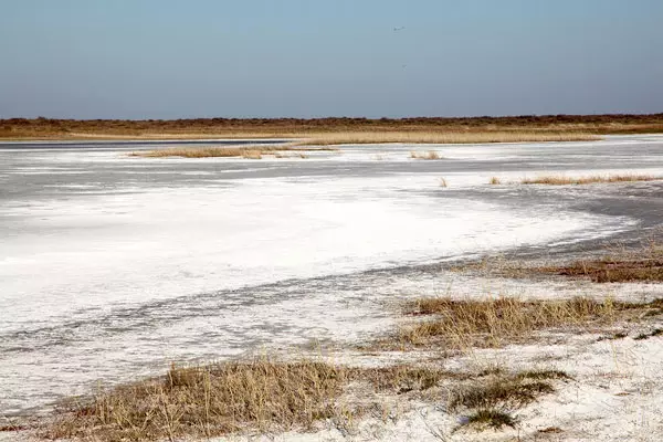 En el desierto salino