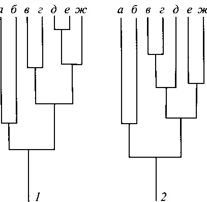 Dichotomous scheme, inoratidza kufanana kwenzvimbo dzeEurasia mumhuka dzeshiri