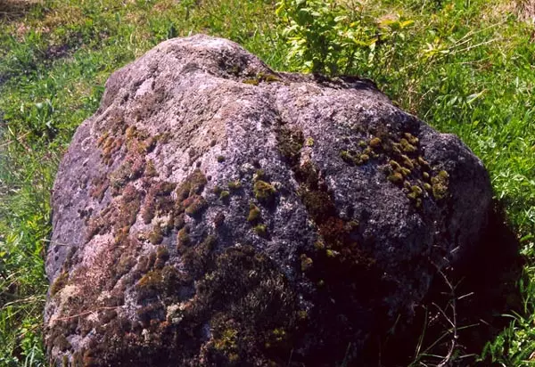 Klasiskās bioģeogrāfijas jēdziens - 