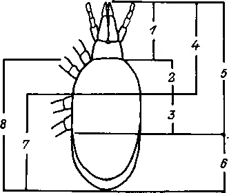 Atụmatụ ịkekọrịta akàrà, nke a nabatara na acarology