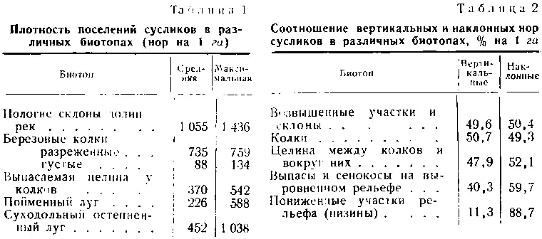 Улаан хацартай гоферын хүрээ 6227_4