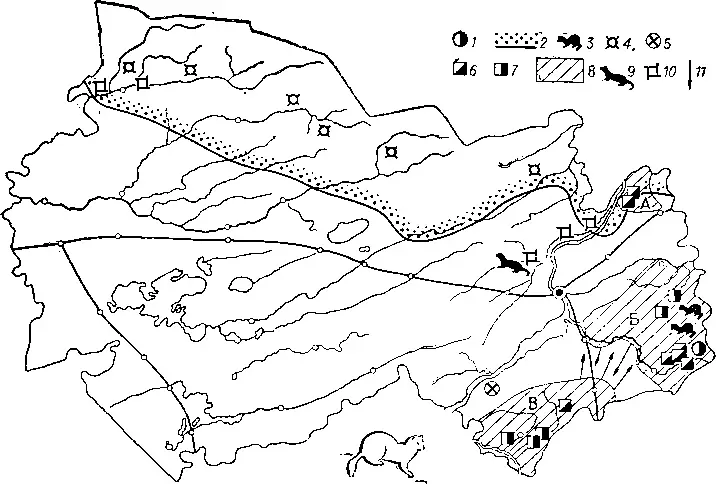 Abubuwan da ake buƙata don daidaita sable a yankin Novosibirsk 6330_4