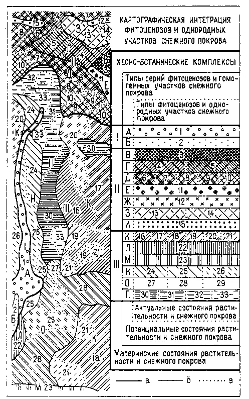 Chidutswa cha mapu a kapangidwe ndi kakulidwe ka chipale chofewa m'nkhalango zotumphuka za m'mphepete mwa mapiri a Primusinsk larch-fir-cedar taiga