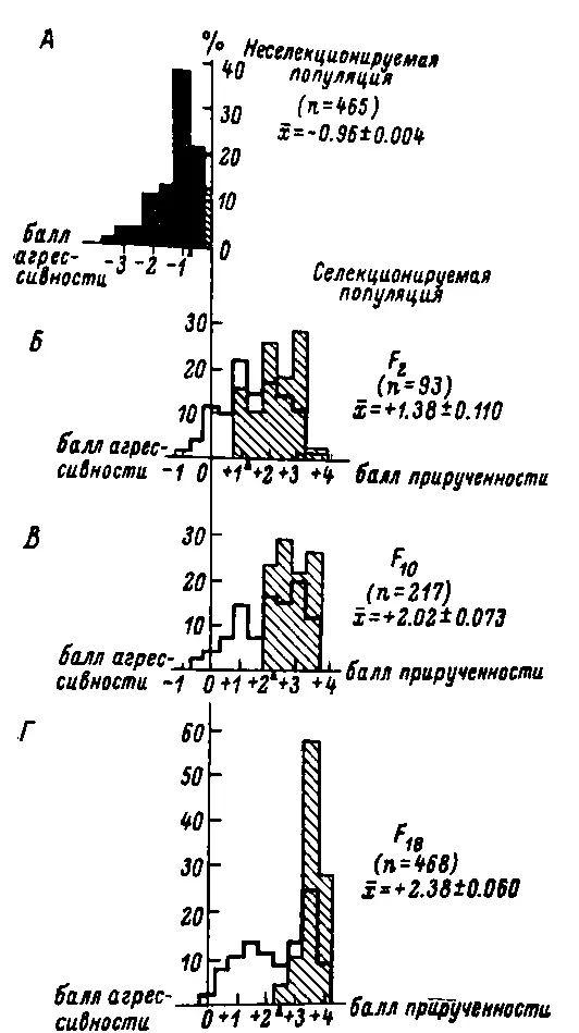 Tülkülərin seçilməyən populyasiyada (F) və müxtəlif nəsillərdə (B, C, D) paylanması.