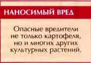 Dankali ko tsuntsu mai maki 28 (Epilachna vigintioctomaculata Motsch.)