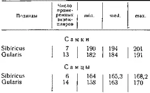 Даўжыня крыла Accipiter virgatus ў мм