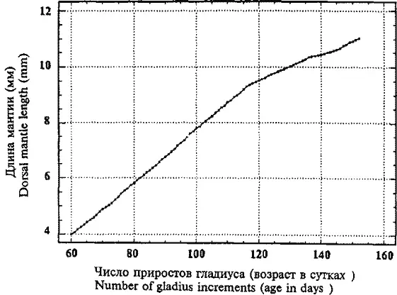 Sthenoteuthis oualaniensis (екваториална група); индивидуална крива на растеж на размножаваща се женска (DM 11,0 cm)