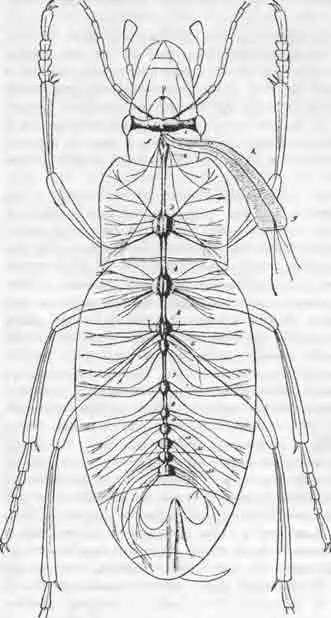 Naukowiec Bandyta