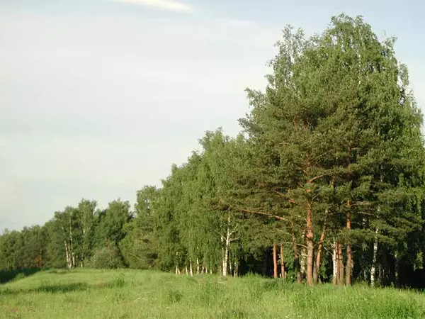 Veguherîna pirrengî ya jîngehên gelek cûrbecûr li herêmên cihêreng ên mezin 9369_1