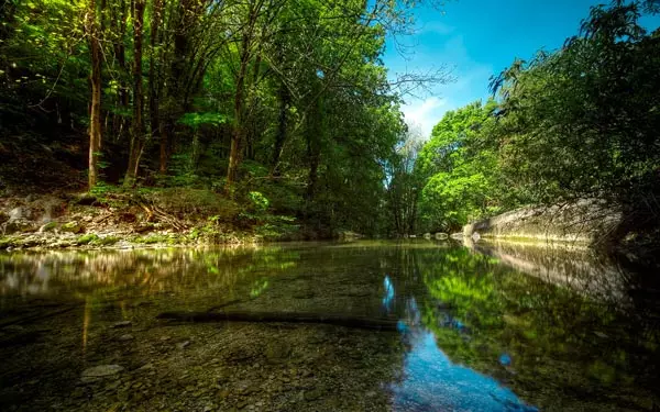 Wpływ czynników antropogenicznych na szkodliwość owadów 9465_2