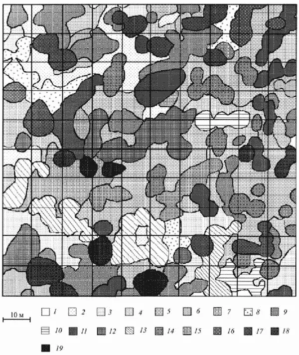 Tsarin tsari da kuzari na beech monodominant beech da polydominant broad-leaved al'ummomi 9626_3