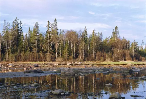 Voorspelling van veranderinge in plantegroei in die reservaat 