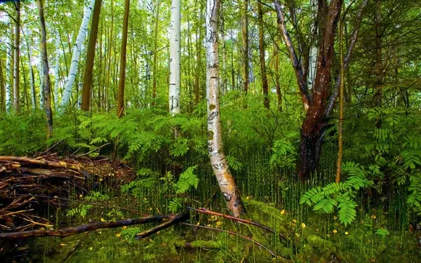 Consecuencias de los cambios antropogénicos y naturales en el régimen hidrológico medio a largo plazo 9904_2